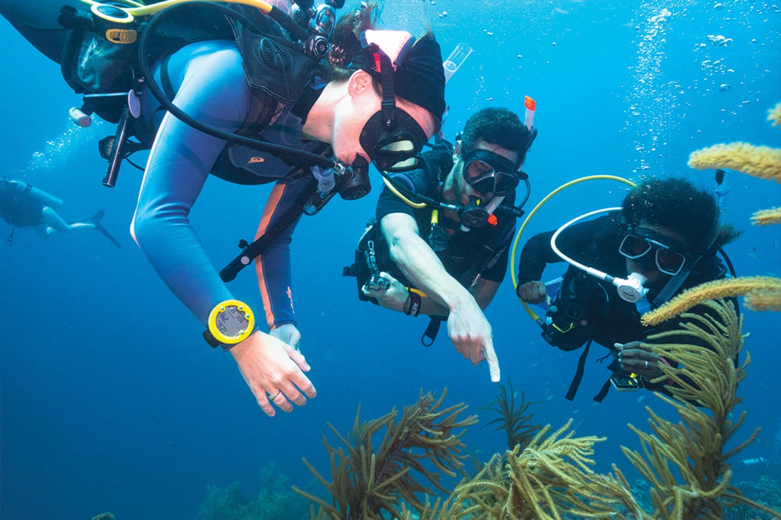 PADI Dive Course – Wai Resort
