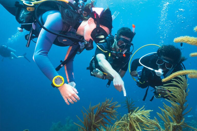 PADI Dive Course – Wai Resort